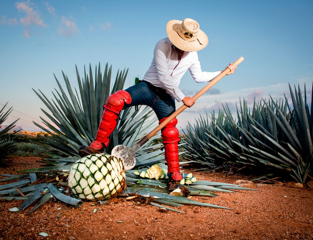 Tequilas reposados Sauza calificados 'Excelente' por Profeco