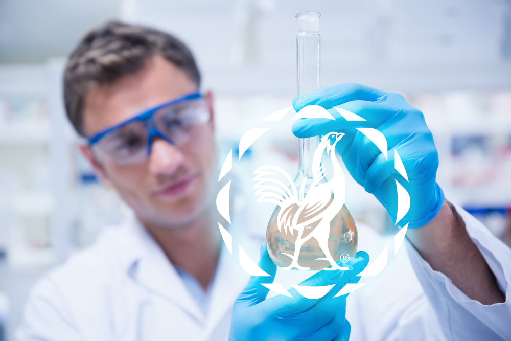 Muestreo del Tequila