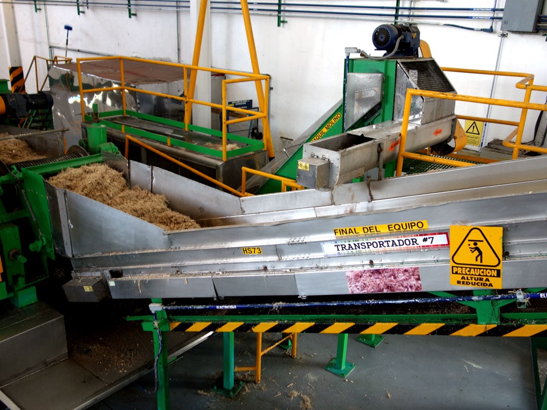 Extraction Processes of the Agave Sugar