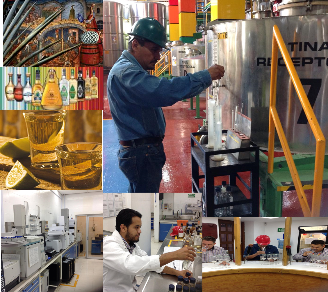Defining Quality in a Tequila