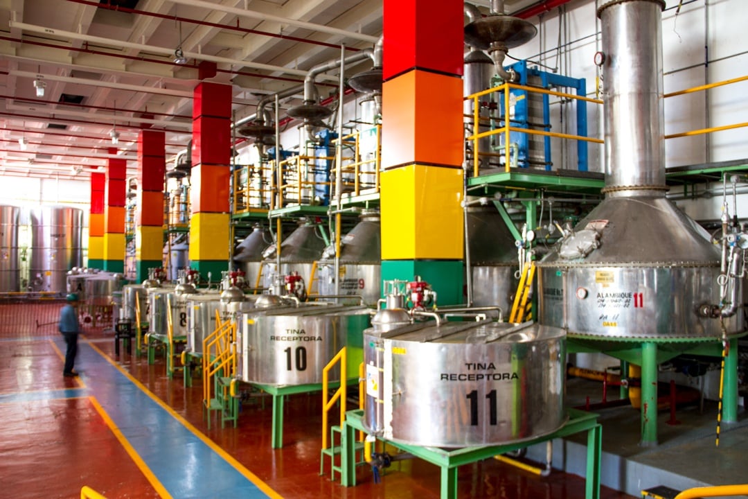 Casa Sauza a Visual Factory / Visual management in tpm